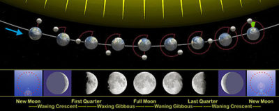 The Full Moon in Bone Divination – Bones, Shells, and Curios