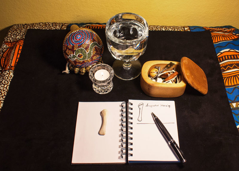 Bone Reading Accessories – Bones, Shells, and Curios