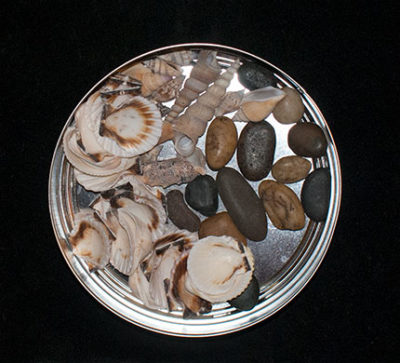 Bones, Shells, and Curios - Bone divination, bone reading, bone casting, conjure bones