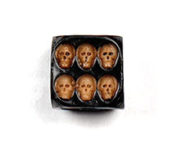 Rosarium Blends Bone Reading Starter Set – Bones, Shells, and Curios