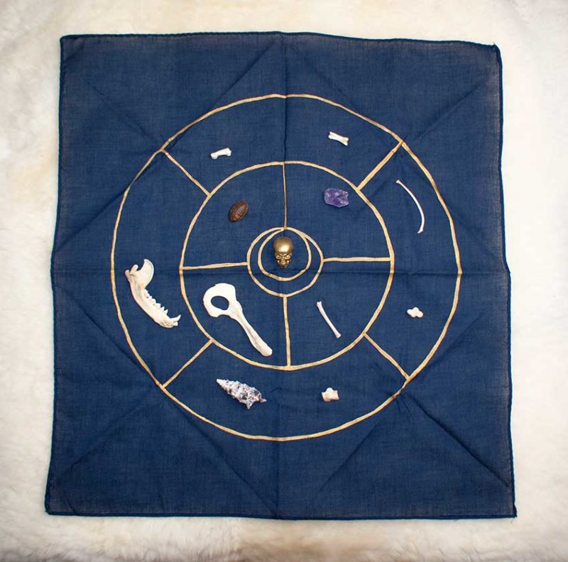 Mytho Menagerie Bone Reading Starter Kit – Bones, Shells, and Curios