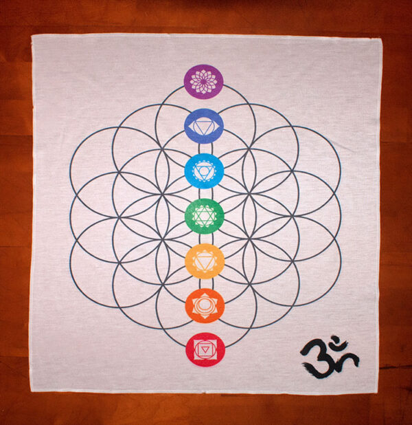 Reading Surfaces for Bone Divination – Bones, Shells, and Curios