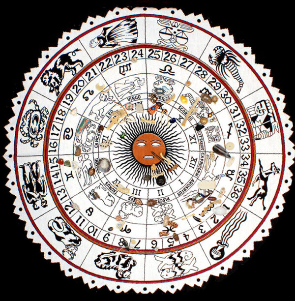 Blog – Bones, Shells, and Curios