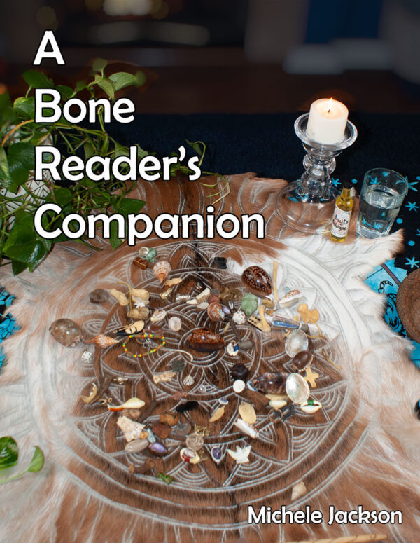 A Bone Reader’s Companion – Bones, Shells, and Curios