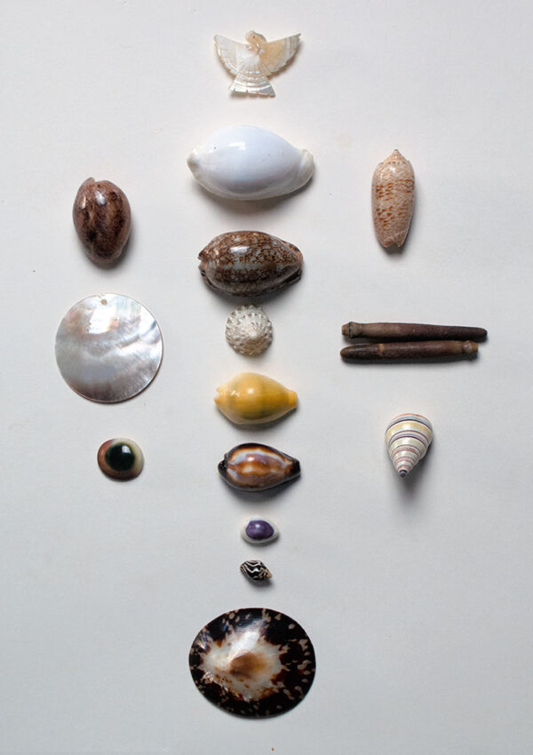 Bones, Shells, and Curios - Bone divination, bone reading, bone casting ...