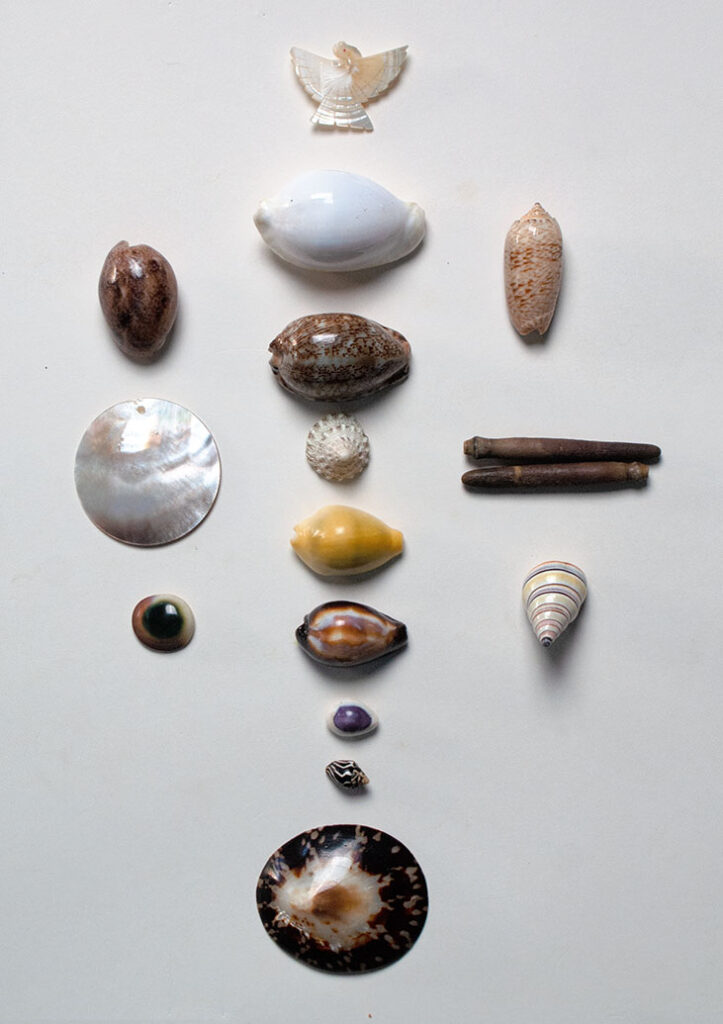 Bones, Shells, and Curios - Bone divination, bone reading, bone casting ...