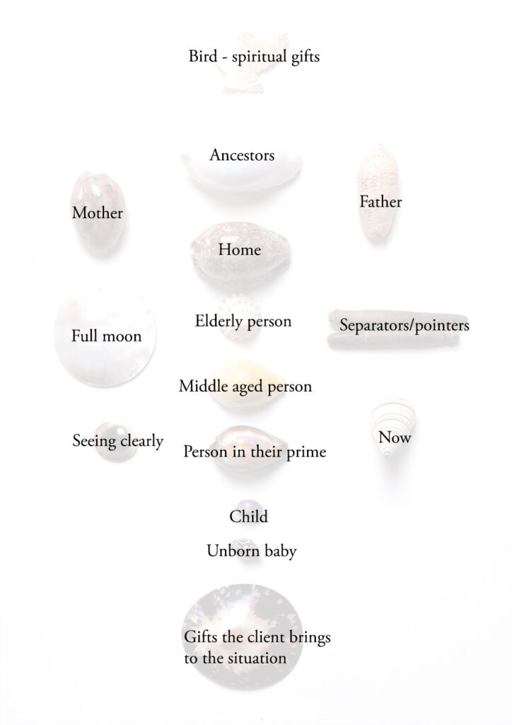 Bones, Shells, and Curios - Bone divination, bone reading, bone casting ...