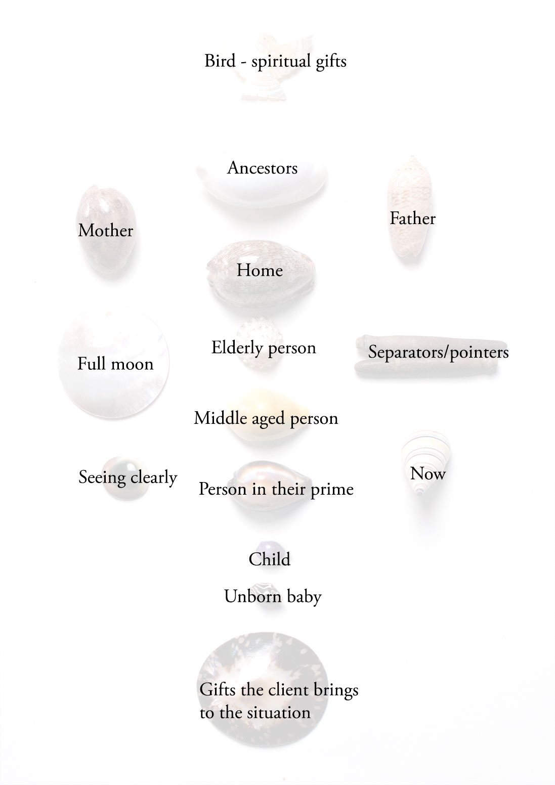 Bones, Shells, and Curios - Bone divination, bone reading, bone casting ...