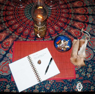 Blog – Bones, Shells, and Curios