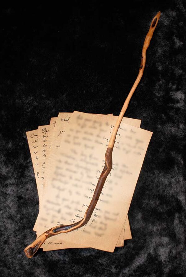 Some Methods of Reading the Bones – Bones, Shells, and Curios