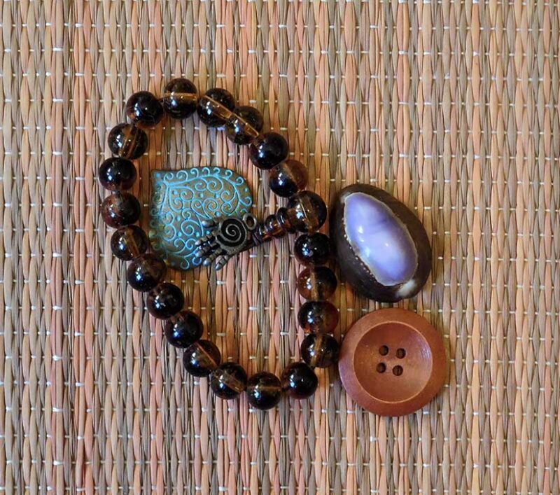 Blog – Bones, Shells, and Curios