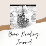 Some Methods of Reading the Bones Part Two – Bones, Shells, and Curios